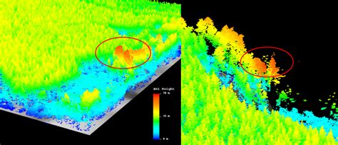 lidar derived canopy height model practical tips in implementing use