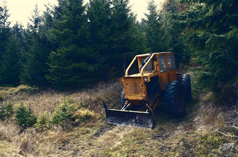 Work Gallery Tree Labs