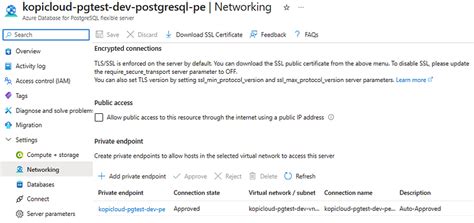 How To Deploy An Azure Postgresql Flexible Server With Private Endpoint Using Terraform