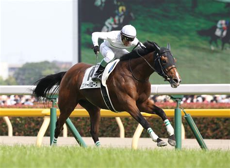 伏兵ロジャーバローズが世代の頂点に 日本ダービー Moment日刊ゲンダイ