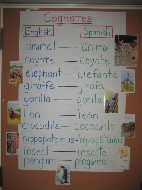 Cognates Help With Vocabulary Development Mary Wallis Dual Language
