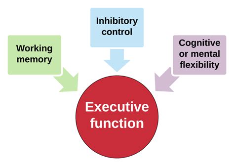 Executive Functioning How Much Do We Help Turning Point School