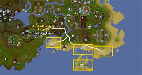 Osrs Ammonite Crabs Guide How To Get There Training Methods Osrs
