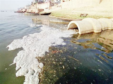 Project Manager Of Ganga Pollution Control Unit Filed A Report On