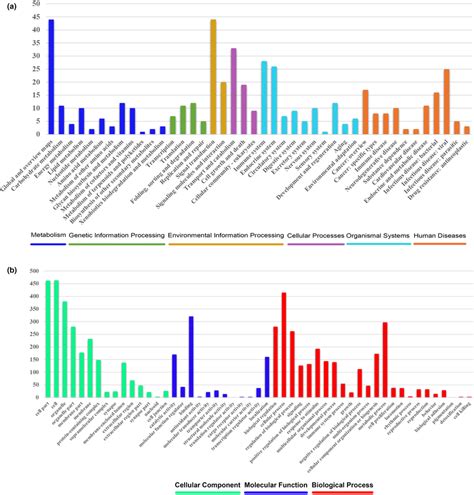 Functional Distribution Of Positively Selected Genes Psgs A Download Scientific Diagram