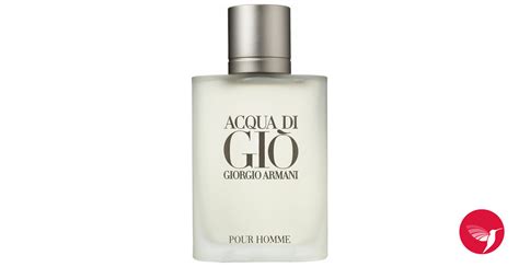 Acqua di Gio Giorgio Armani Cologne - ein es Parfum für Männer 1996