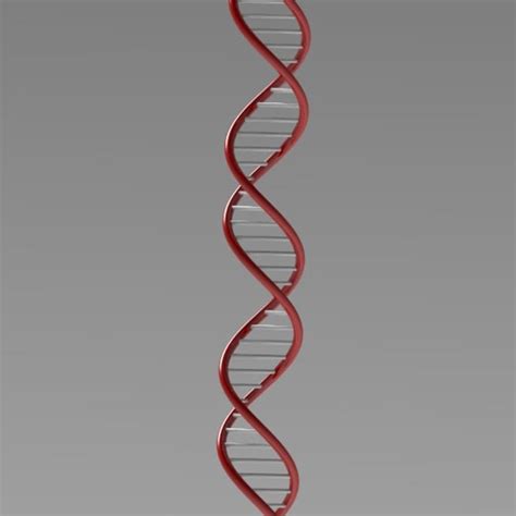 Dna Strand 3d Model 45 Sldpr Unknown Wrl Stl Ige Free3d