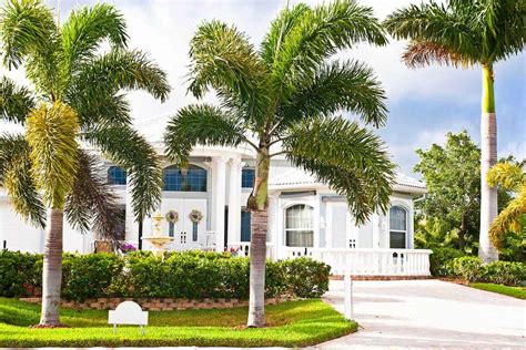 35 Palm Tree Garden Ideas