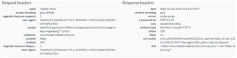 Request Response Header Hacker Web Security