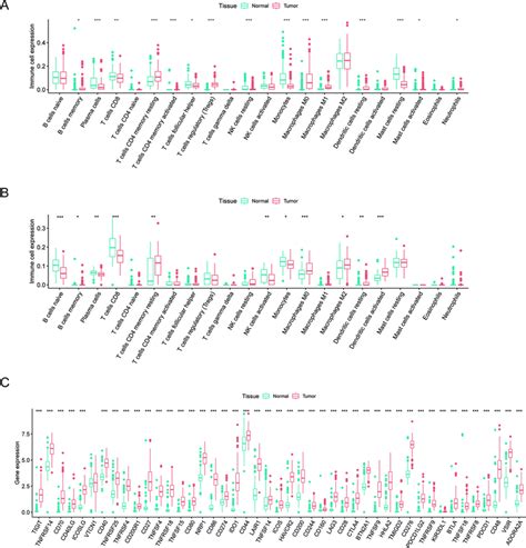 Expression Of Tumor Infiltrating Immune Cells And Immune Checkpoint