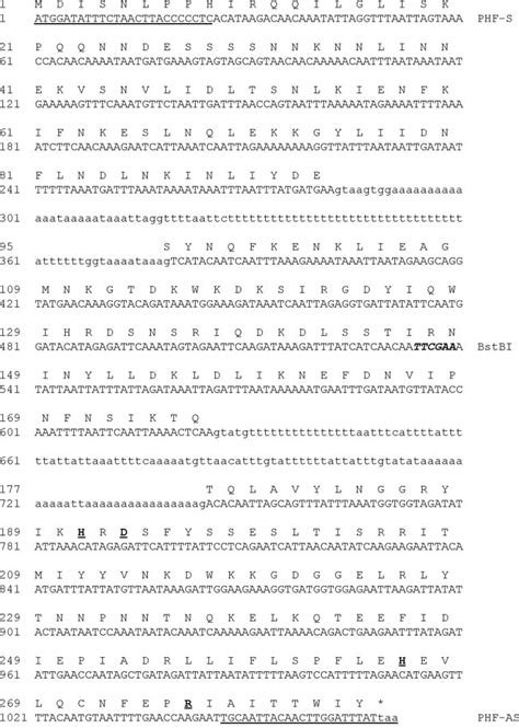 P4h1 Sequence Phya Is A Predicted Gene From The Dictyostelium Genome
