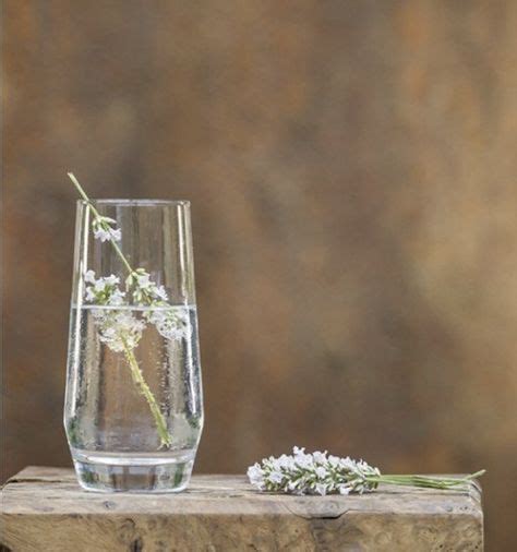 83 Edible Flowers For Drinks And Cocktails Ideas Edible Flowers