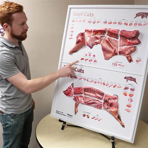 Beef And Pork 3d Meat Cuts Poster Realityworks
