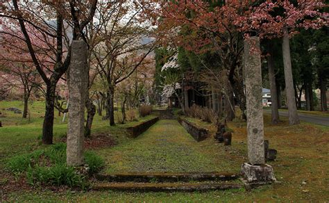 貞麟寺のしだれ桜 長野県白馬村