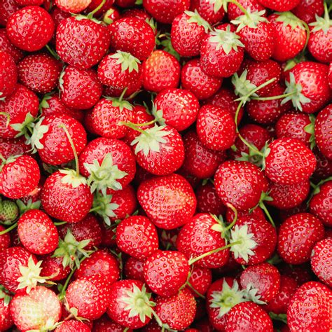 What Is Strawberry Seed Oil Dry Skin Love Skincare