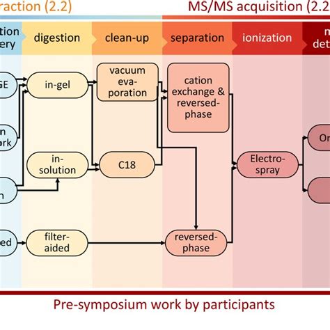 Schematic Representation Of The Main Sample Preparation Steps And Download Scientific Diagram
