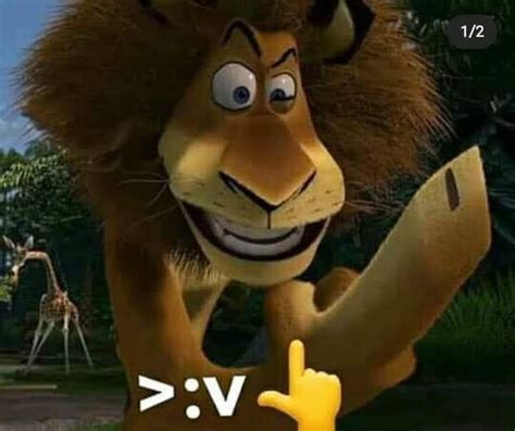 Pin De 卐ash Kun卐 The Furry Raccoon Em Gacha Memes Engraçados Imagens