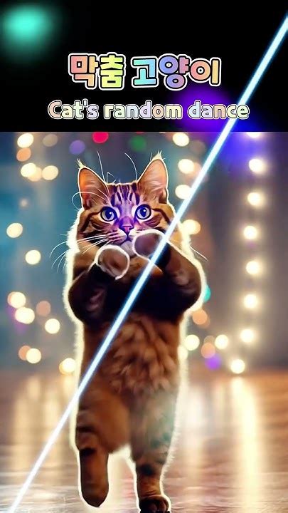 웃짤 막춤고양이 웃짤 밈짤 짤방 🐈 Shorts 쇼츠 막춤 밈 밈짤 웃짤 짤방 고양이 Ai Youtube