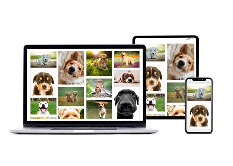 Repeating Groups Bubble Docs