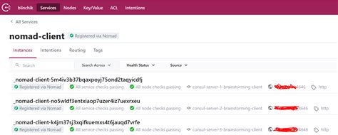 Consul Cant Find Nomad Clients In The Nomad Ui Stack Overflow