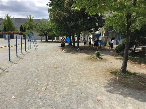 6年生 柏市立十余二小学校
