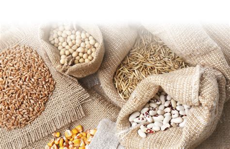 Lc Msms Method Package For Mycotoxins Shimadzu Europe