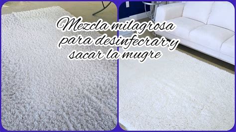 Como Limpiar Alfombras En Casa Tipsdelimpieza