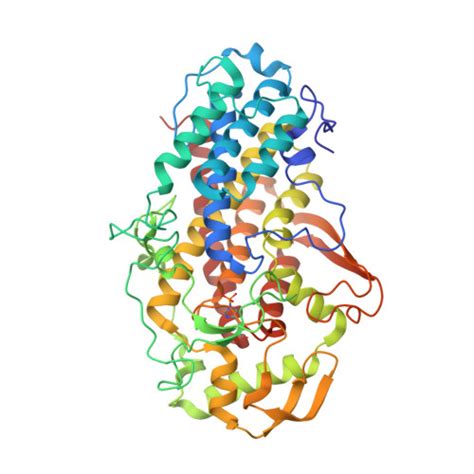 Rcsb Pdb 8cxl Structure Of Naph3 A Vanadium Dependent