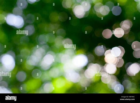 Blurred Abstract Tree Bokeh Stock Photo Alamy