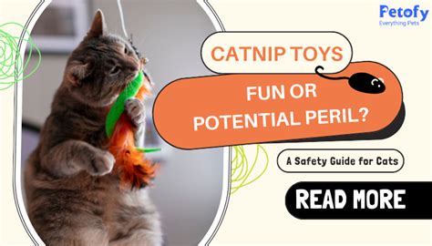 Catnip Toys Fun Or Potential Peril A Safety Guide For Cats Catnip Toys Fun Or Potential Peril A Safety Guide For Cats