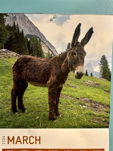 Heidi Saas On Linkedin Privacy Ethicalai Consumerrights