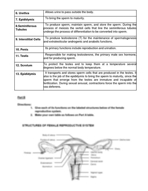 SOLUTION Activity Laboratory Reproductive System Studypool