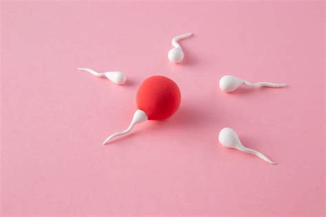 What Is Ovulation Cycle Timeline Pain And Symptoms