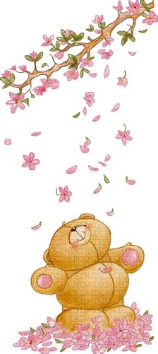 Forever Friends Teddy Esme4eva2023 Teddy 테 디 泰迪 Teddybär