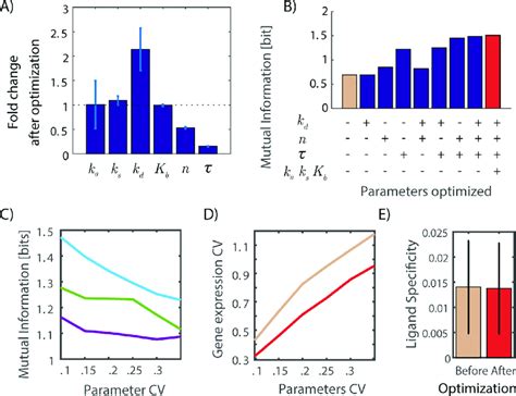 Effects Of Mutual Information Optimization On Gene Expression A Download Scientific Diagram