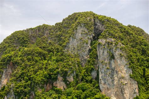 覆盖山边的茂密植被高清图片下载 正版图片504418043 摄图网