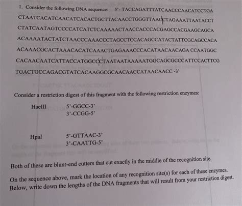 Solved 1 Consider The Following Dna Sequence 5