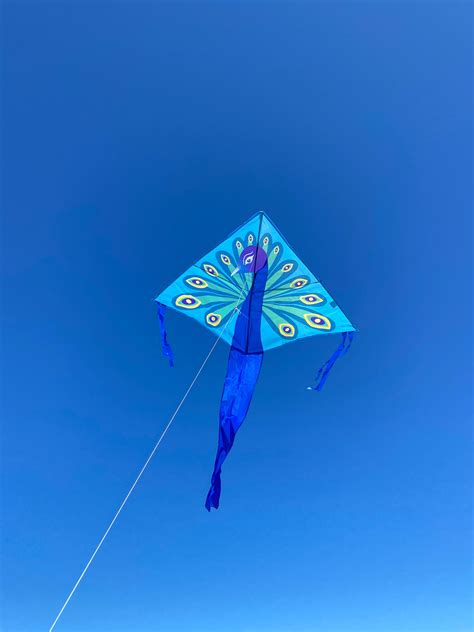 Peacock Kite T And Ware