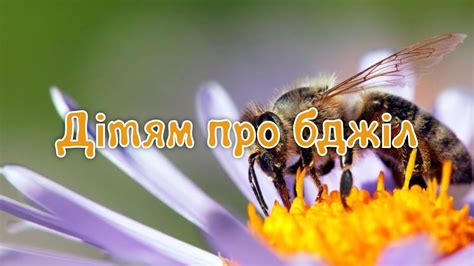 Дітям про бджіл Youtube
