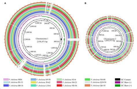 Genome Circular Maps Of The Eleven V Cholerae Isolates Ab The