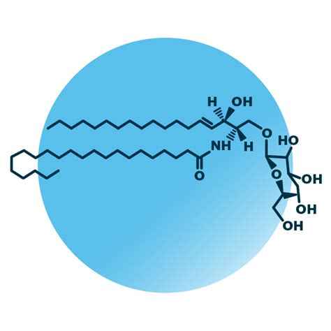 Glucosylceramide Analysis Lipid Analysis Lipotype Gmbh