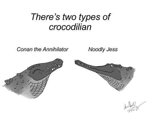 Armin Reindl On Tumblr Image Tagged With Crocodile Crocodilian Reptiles