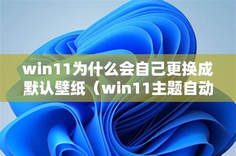 Win11为什么会自己更换成默认壁纸（win11主题自动切换） 4425教程网