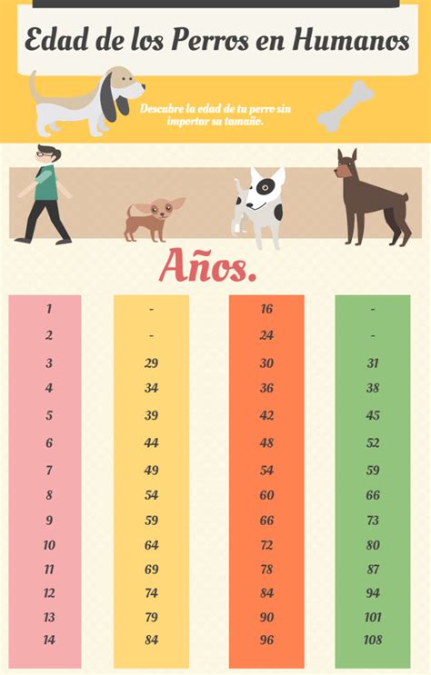 Edad De Los Perros En Humanos Doggie Door I Love Dogs Puppy Love Pet