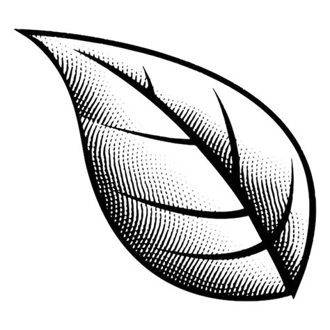 Premium Vector Scratchboard Engraved Big Leaf