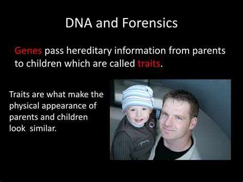 Ppt Dna And Forensics Powerpoint Presentation Free Download Id2778455