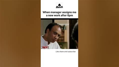 Manager Programmers Life Programmerslife Programmerlife Viralvideo