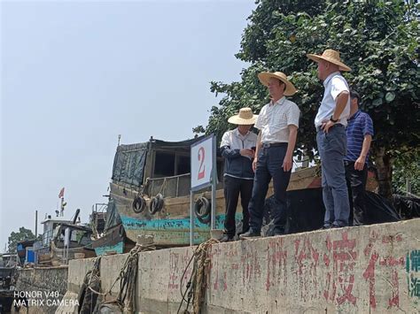 湛江市农业农村局莫植贵局长到雷州市北和镇海康渔港调研渔港渔船安全