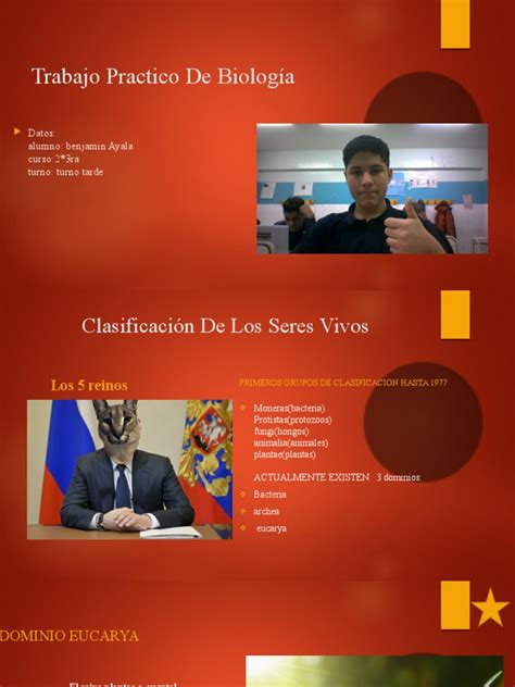 Trabajo Practico De Biología 2 3 Pdf Eucariotas Plantas