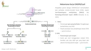 CRISPR Cas9 By Mini PCR Untuk Kuliah Rekgen PPT